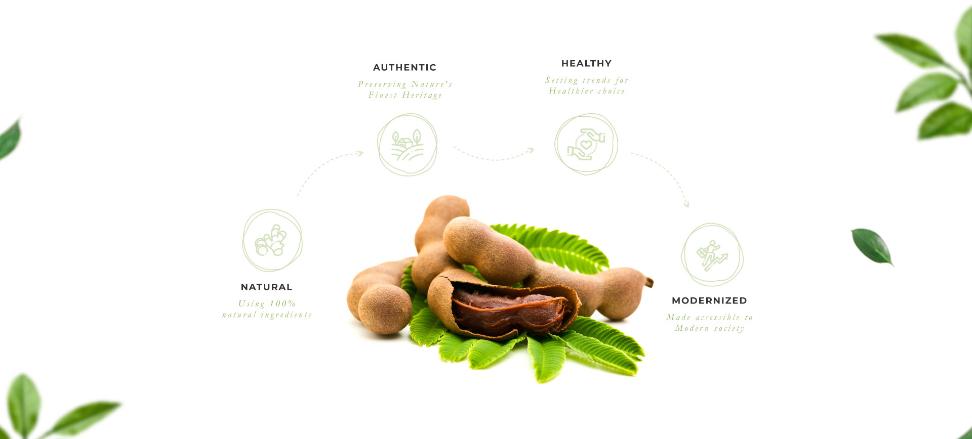 Spizo - Premium Heritage Drink